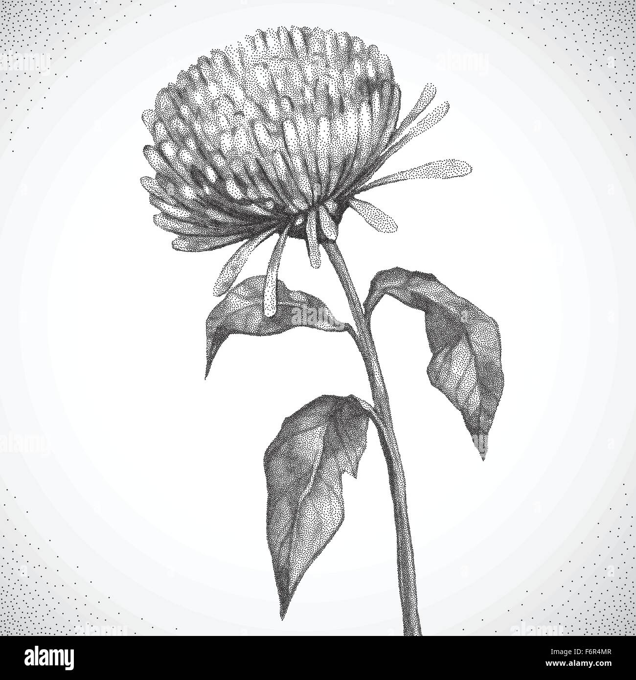 Black white monochrome beautiful Stock Vector Images - Alamy