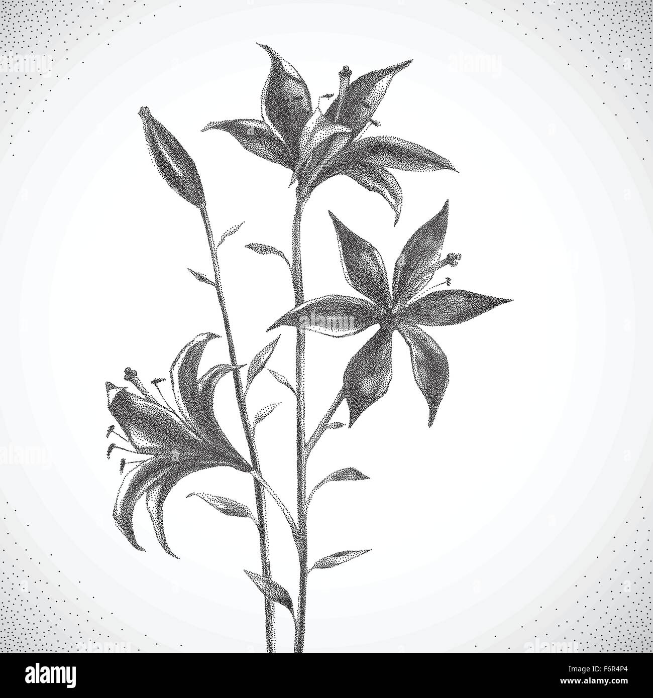 Flower. Black and white Dotwork Stock Vector Image & Art - Alamy