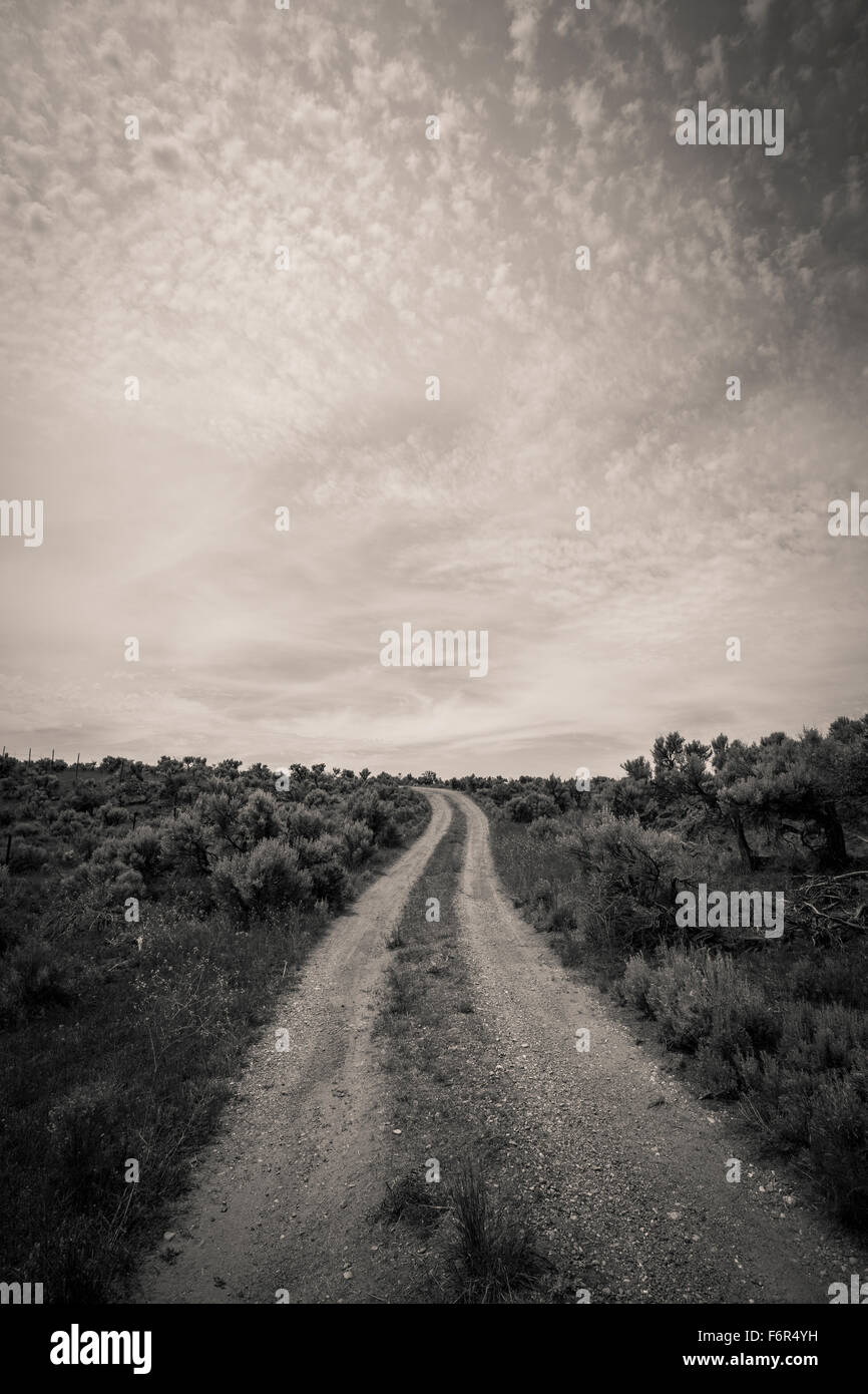 Road in desert hi-res stock photography and images - Alamy