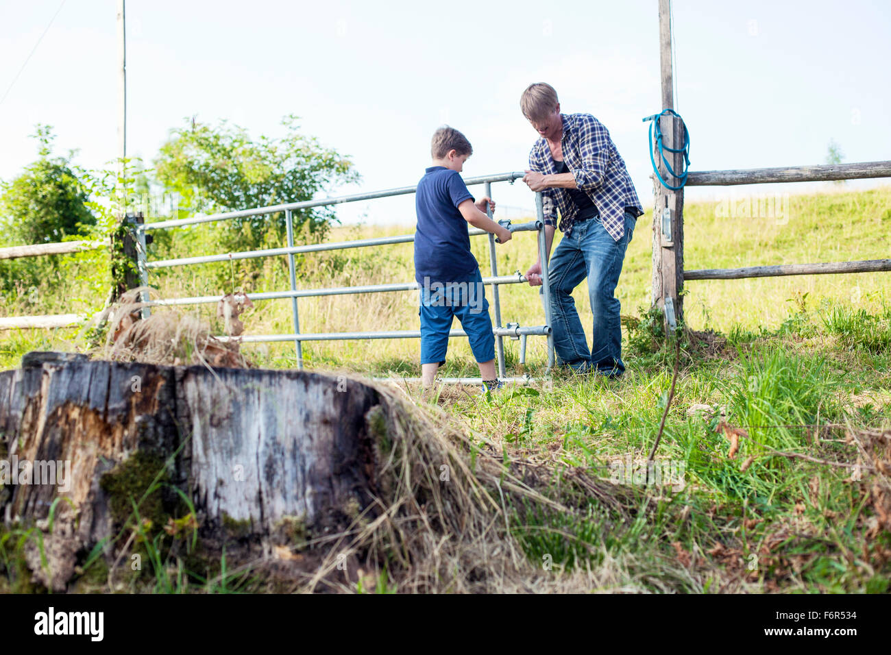 Father and son repairing fence Stock Photo - Alamy