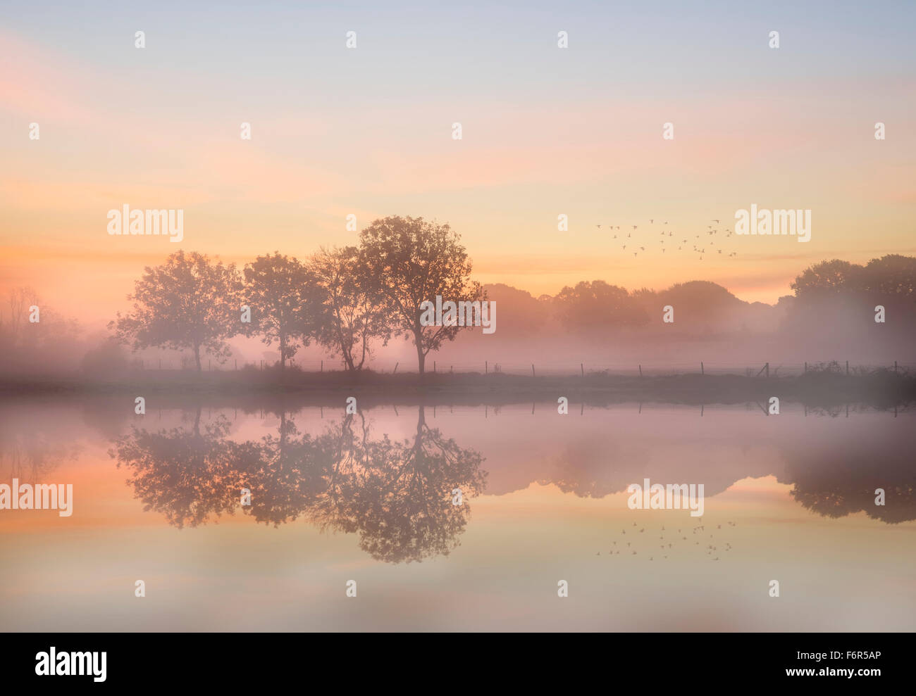 Stunning foggy Autumn sunrise English countryside landscape image Stock ...