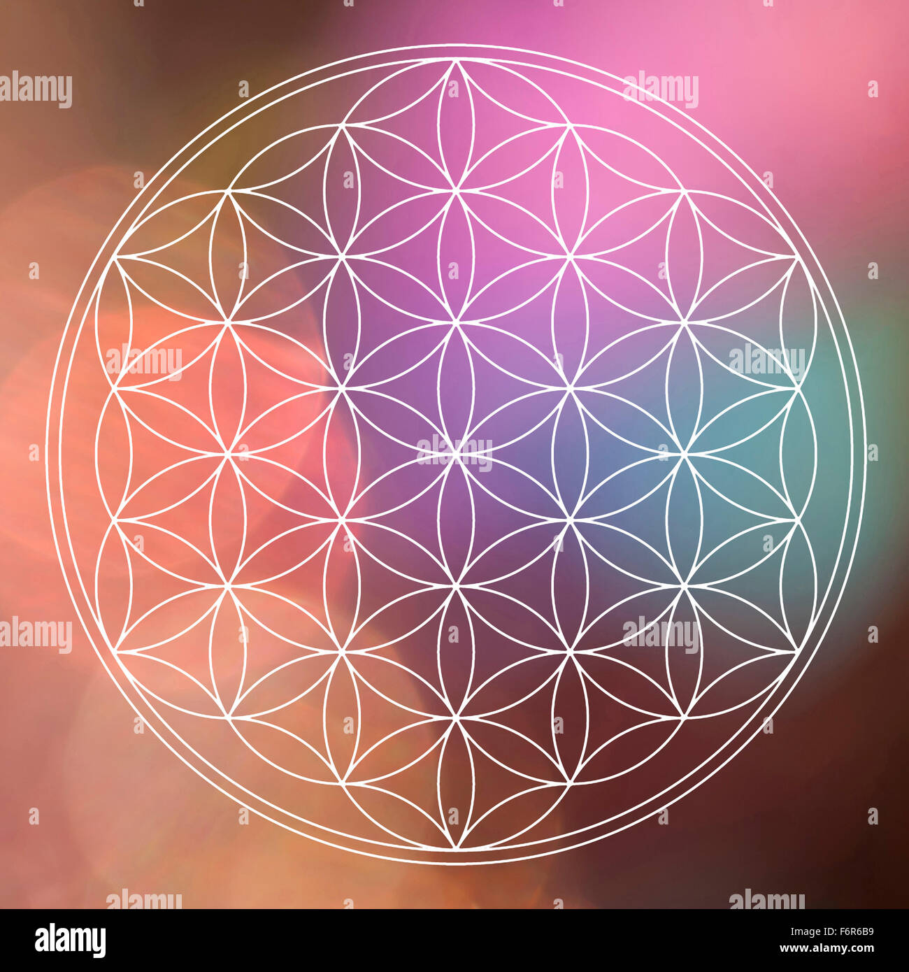 flower of life on colored blured background Stock Photo - Alamy