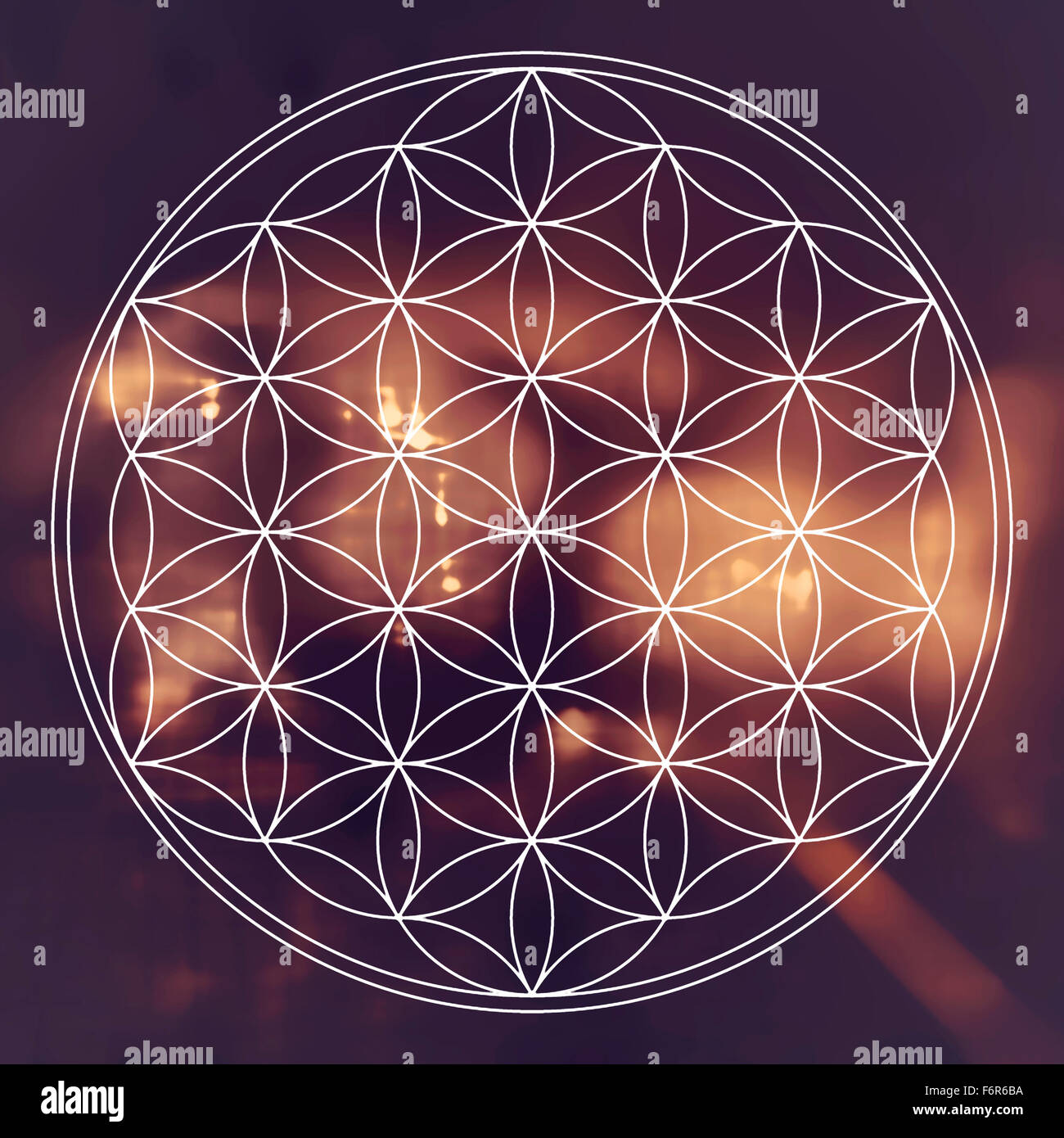 flower of life on colored blured background Stock Photo - Alamy