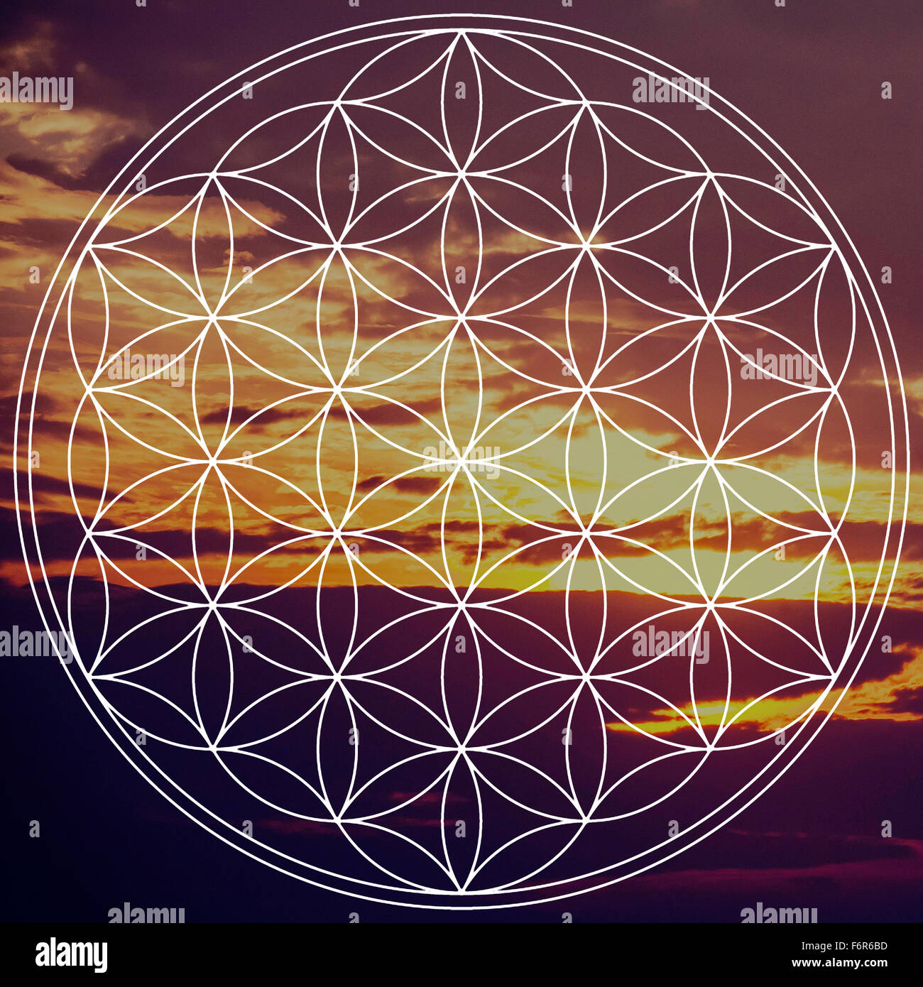 flower of life on colored sunset background Stock Photo - Alamy