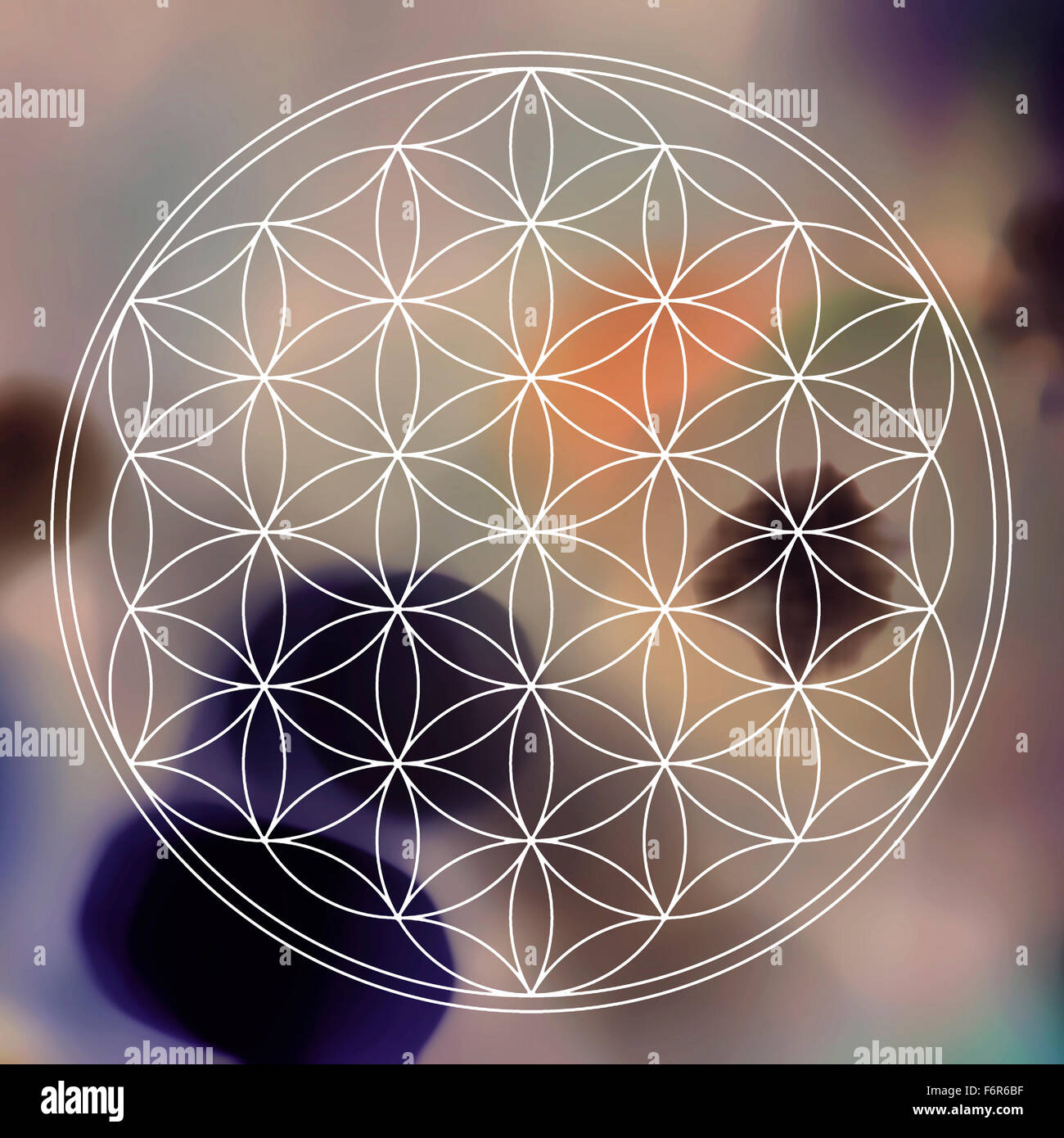 flower of life on colored blured background Stock Photo - Alamy
