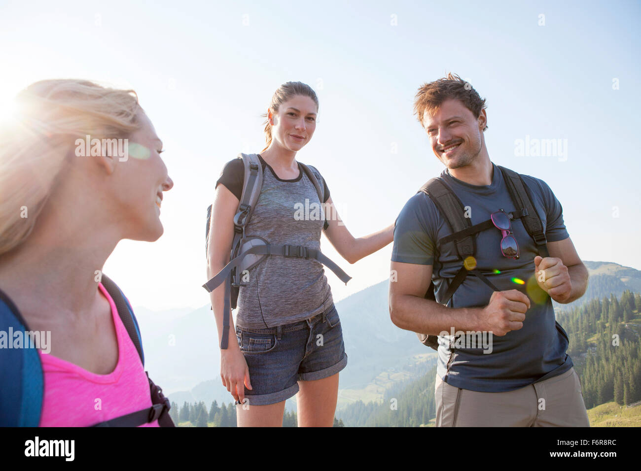 Group of friends hiking in mountain landscape Stock Photo - Alamy