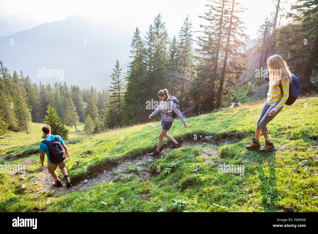 Group of friends hiking in mountain landscape Stock Photo - Alamy