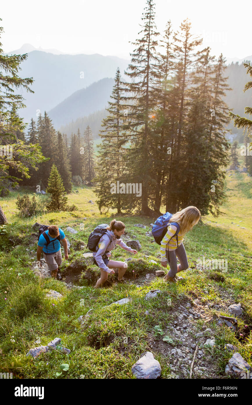 Group of friends hiking in mountain landscape Stock Photo - Alamy