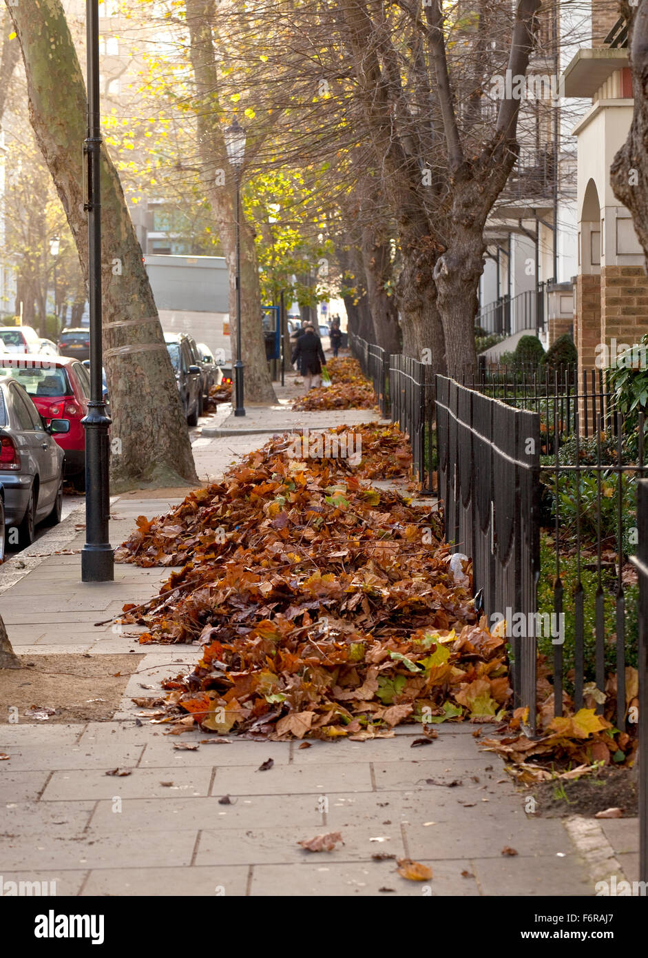 Piles of Autumn. At the end of autumn the leaves need to be swept into ...