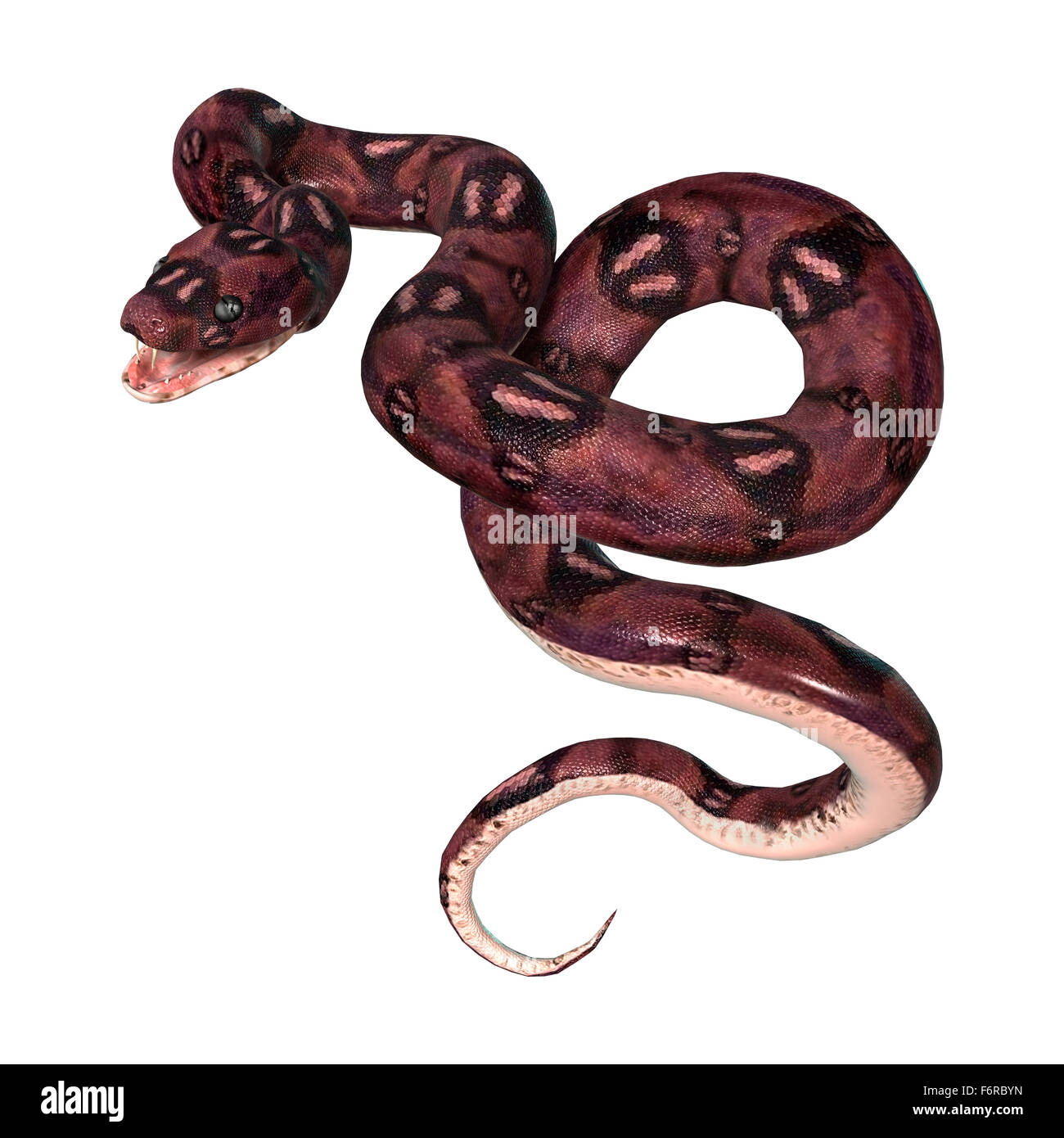 3D digital render of a dangerous anaconda snake isolated on white ...