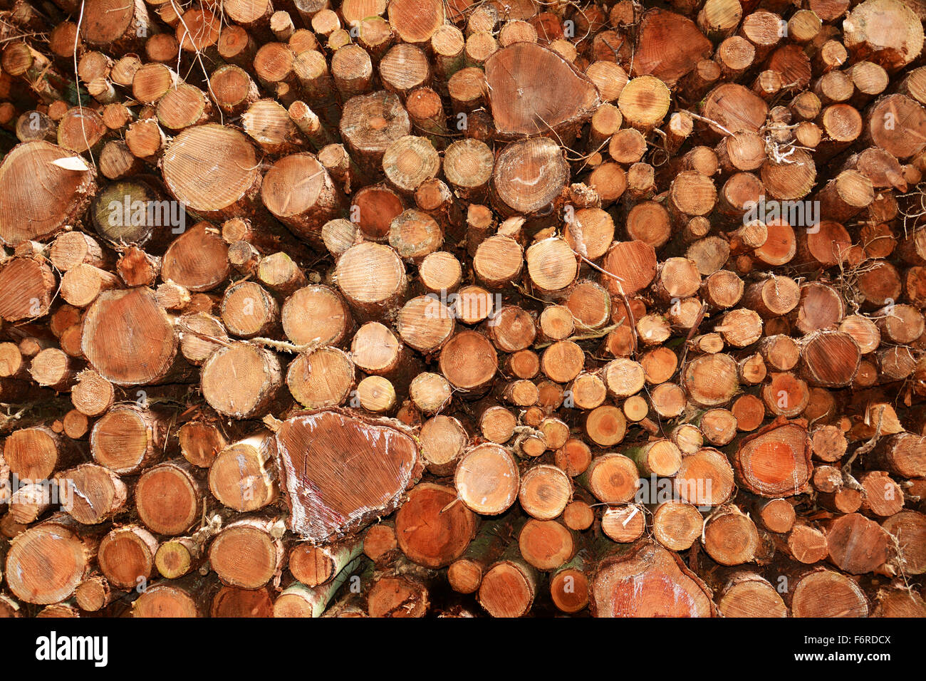 Wood sticks logs hi-res stock photography and images - Alamy