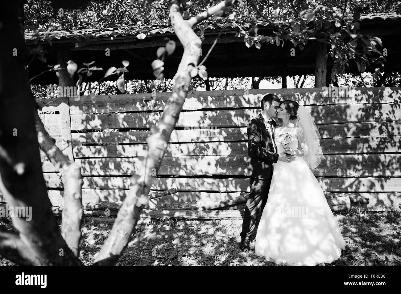 Marriage couple at the shadows of apple tree Stock Photo - Alamy