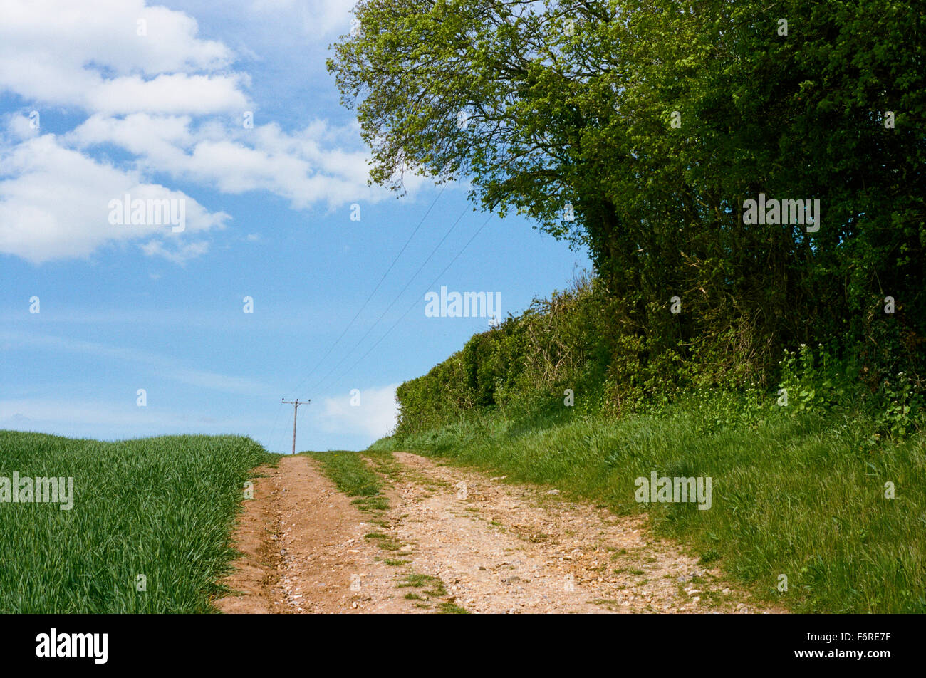 English countryside path Stock Photo - Alamy