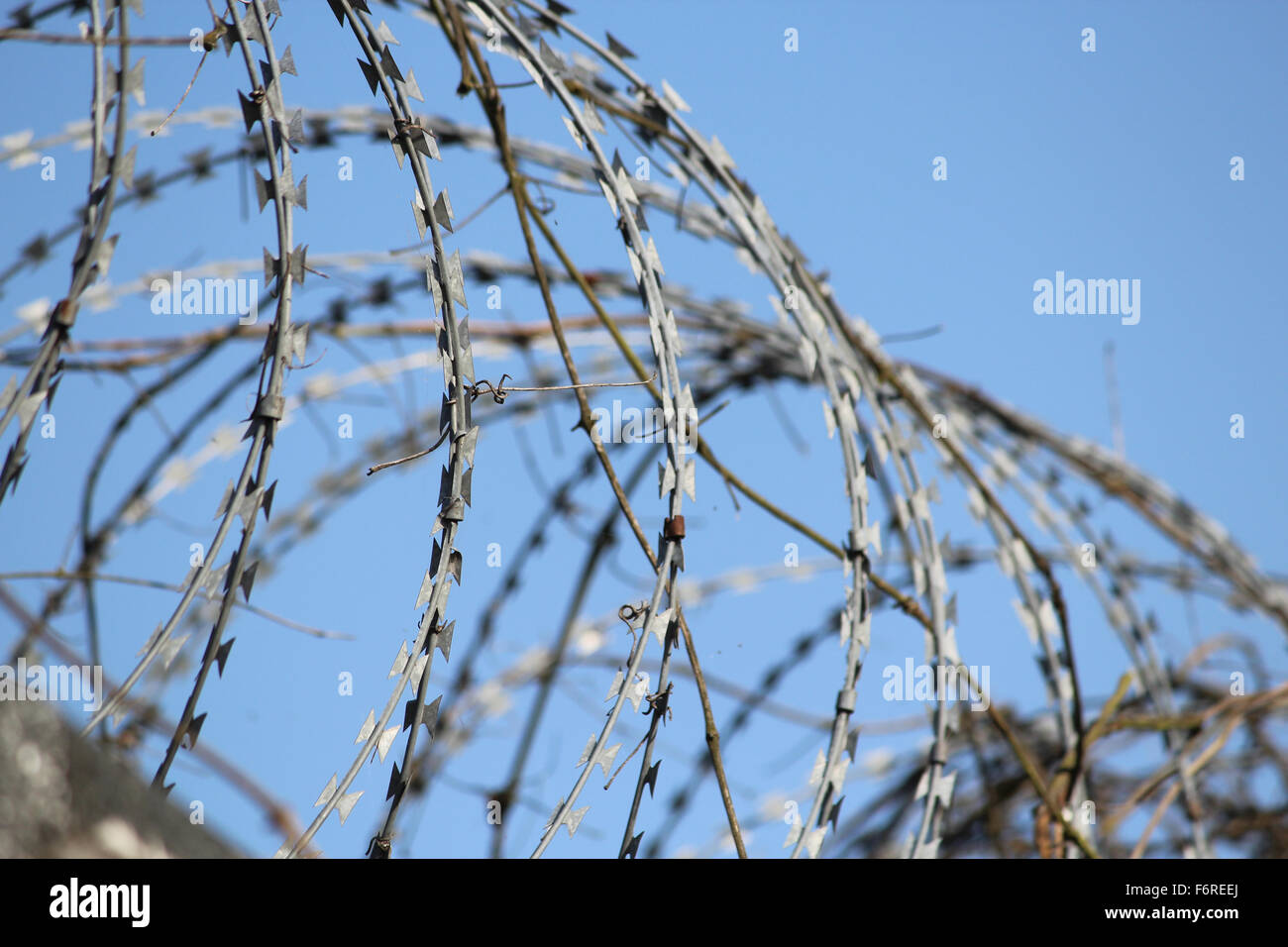 Stacheldraht auf einer Mauer Stock Photo - Alamy