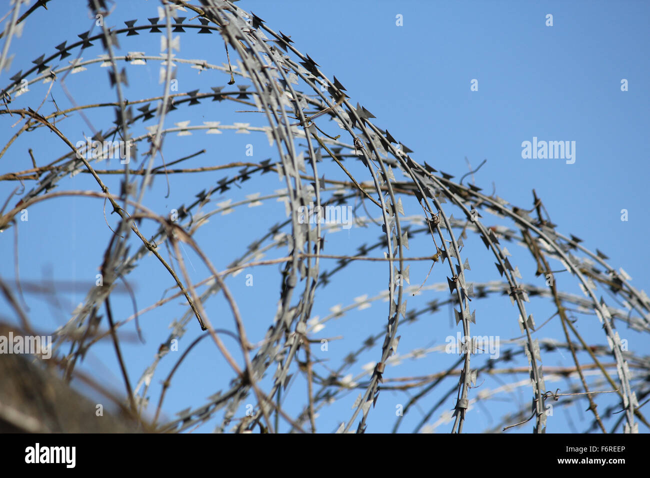 Stacheldraht auf einer Mauer Stock Photo - Alamy