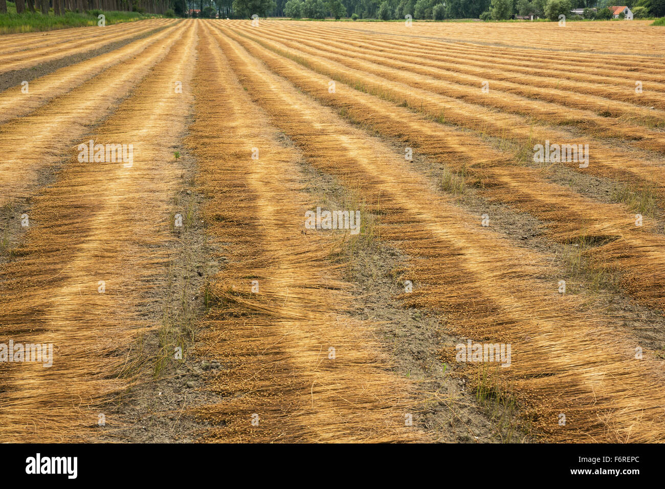 Flax clothing hi-res stock photography and images - Alamy