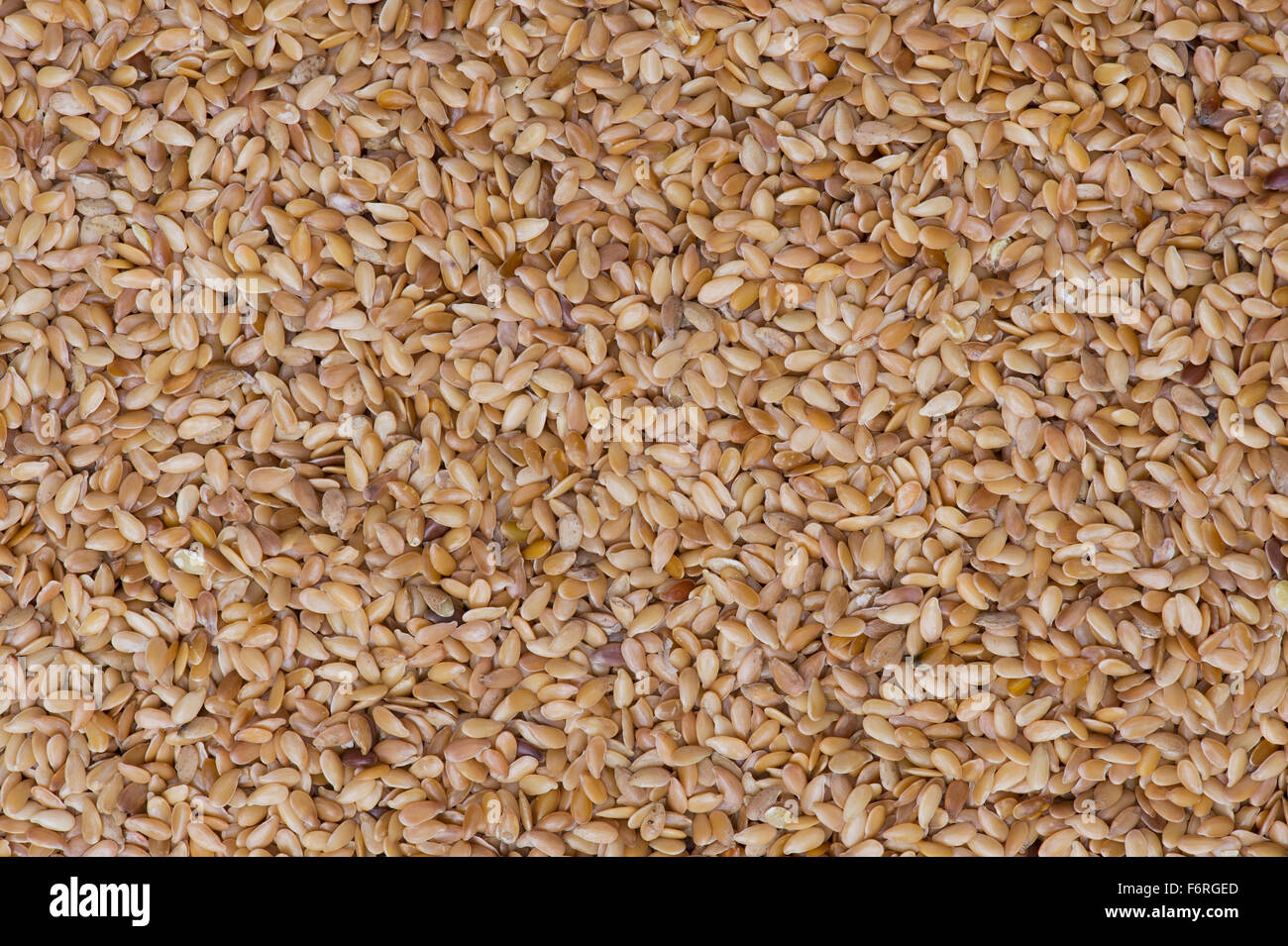 Golden Linseed / Flax seed Stock Photo - Alamy