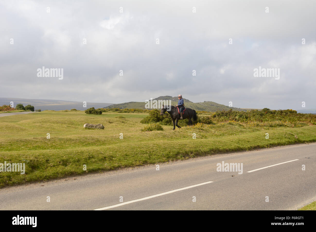 Hobby horse devon hi-res stock photography and images - Alamy