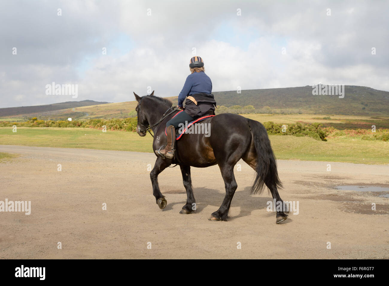 Woman horse-riding at Beltor Corner in the Dartmoor National Park in ...