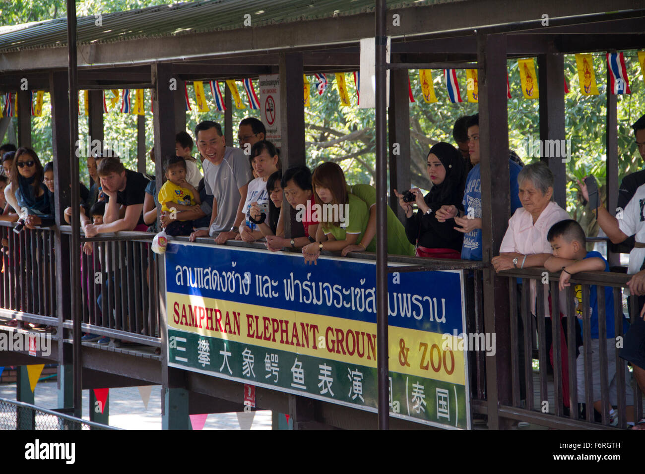 People watch a crocodile handler puts his head in a crocodile's mouth ...