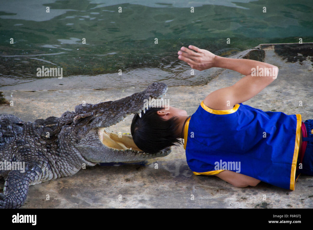 Crocodile head man hi-res stock photography and images - Alamy