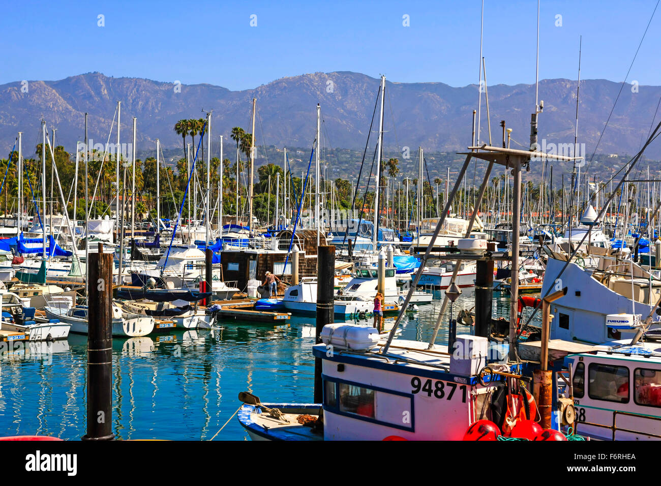 Fishing boats and pleasure craft all tied up in the Santa Barbara ...