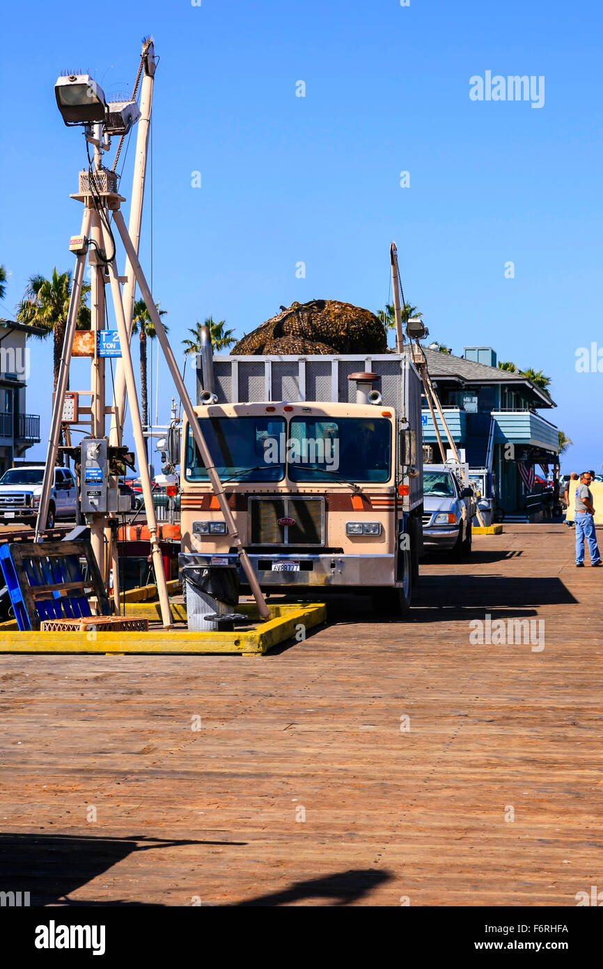 Truck loaded with shell fish prepares to drive off the Santa Barbara ...
