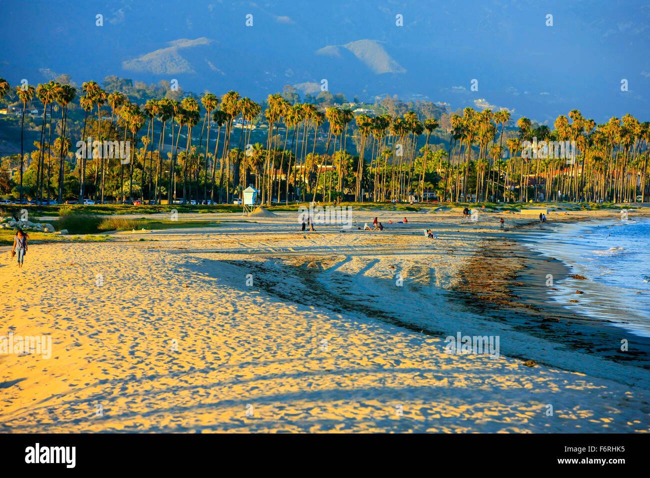 Sunset in Santa Barbara California with the tall palm trees wafting in ...