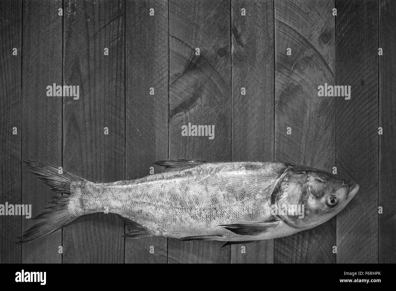 the silver carp on a wooden background Stock Photo - Alamy