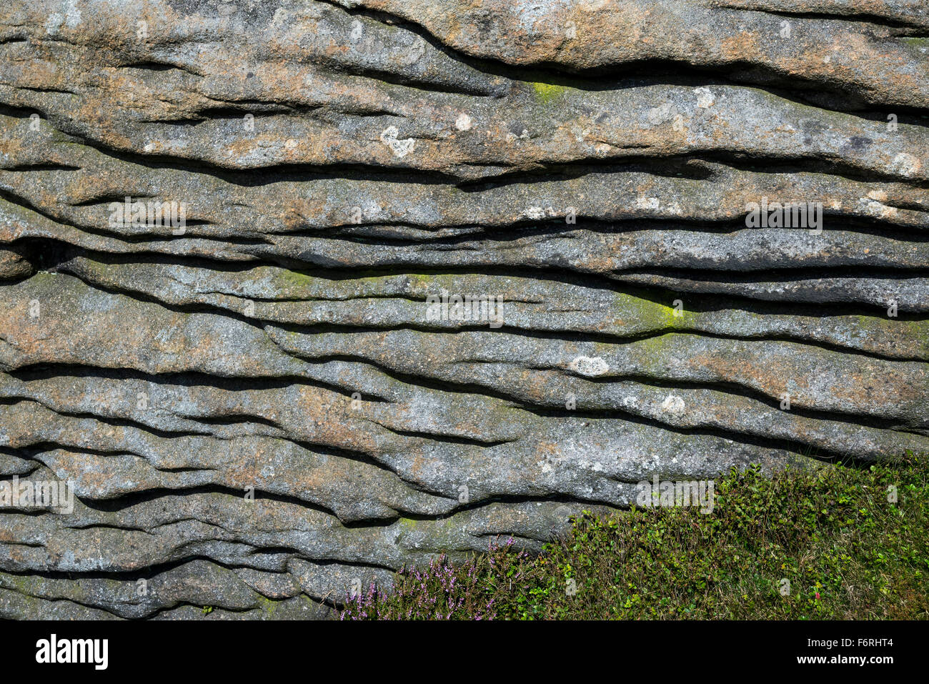 Unusual rock formations of weathered gritstone at Ringing Roger on ...