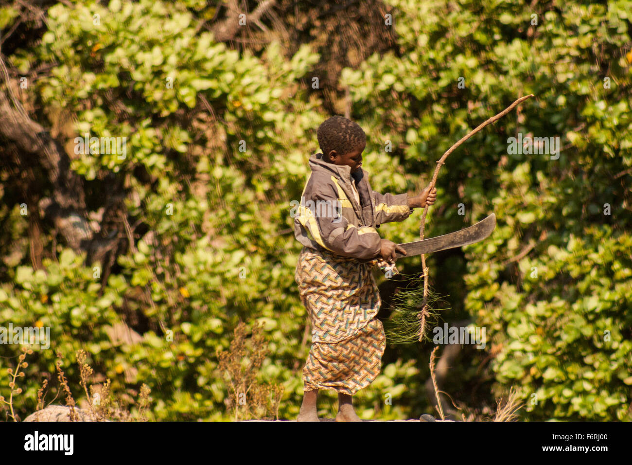 A young girl uses a machete to trim a small branch, Dedza, Malawi ...