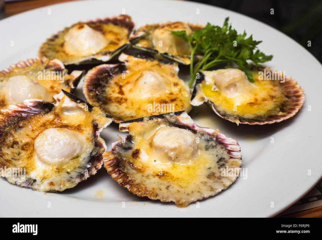 Baked parmesan scallops Stock Photo - Alamy