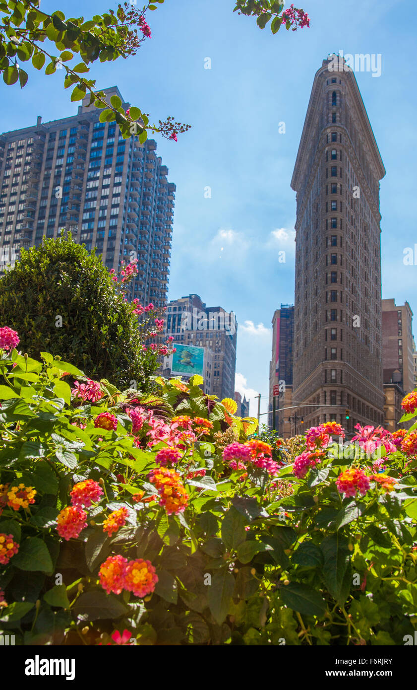 Flatiron building in manhattan new hi-res stock photography and images ...