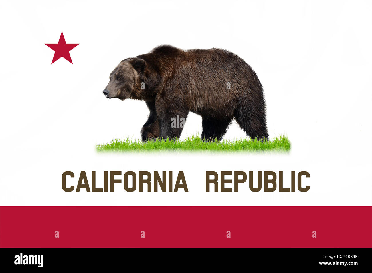 California state national flag with real bear Stock Photo - Alamy