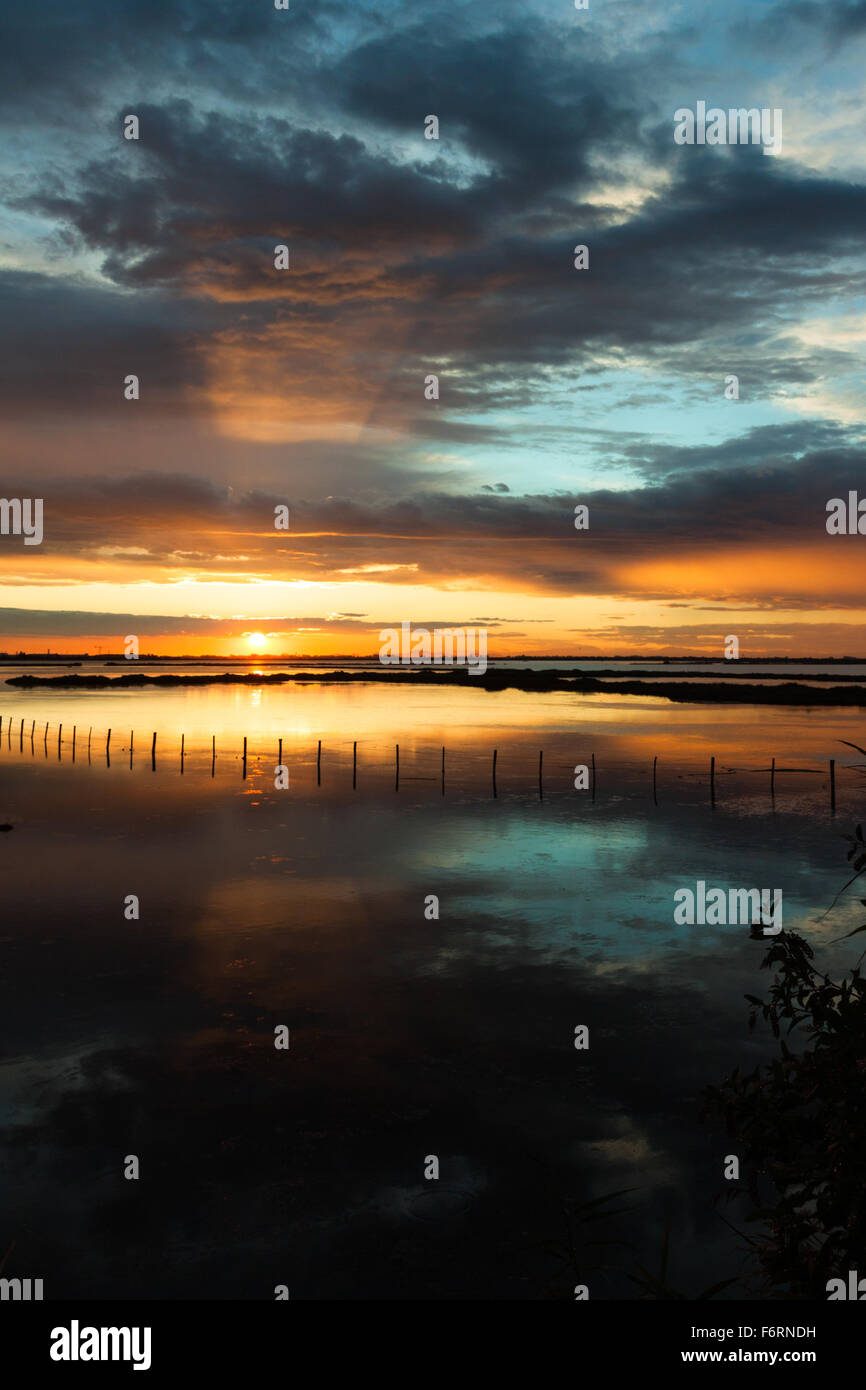 Albarella italy hi-res stock photography and images - Alamy