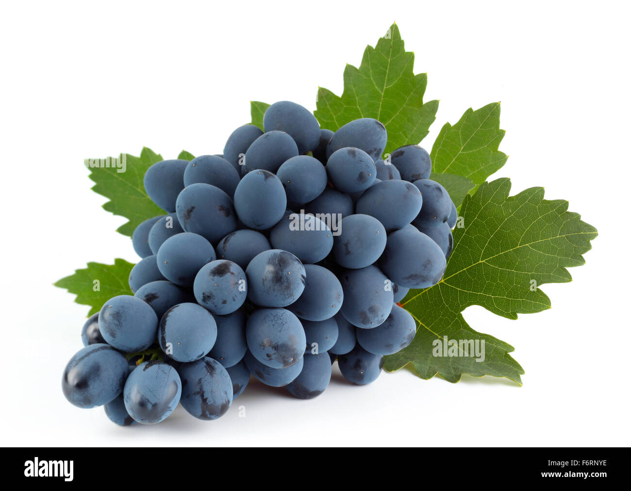 Blue grape fruit with leaf isolated on white Stock Photo - Alamy