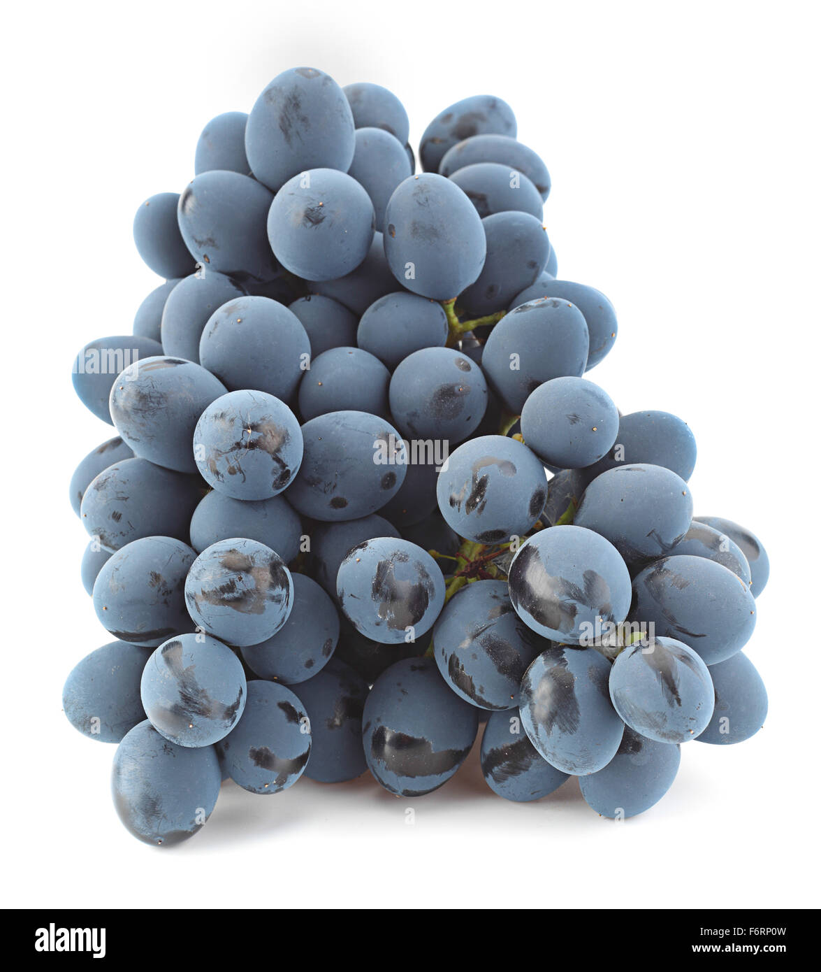 Blue grape fruit isolated on white background Stock Photo - Alamy