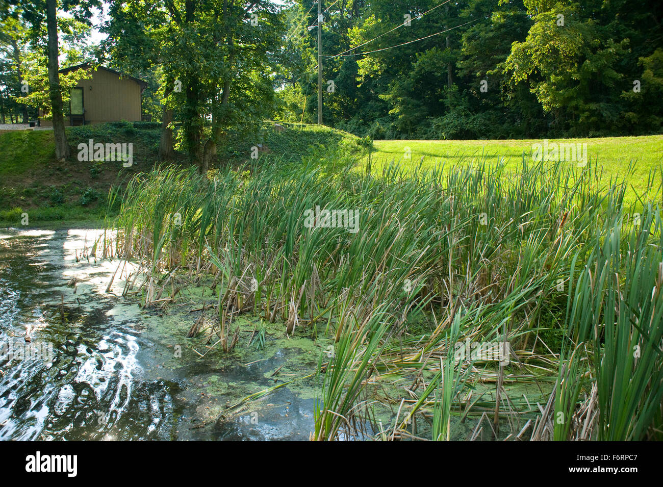 Indiana lake county hi-res stock photography and images - Alamy