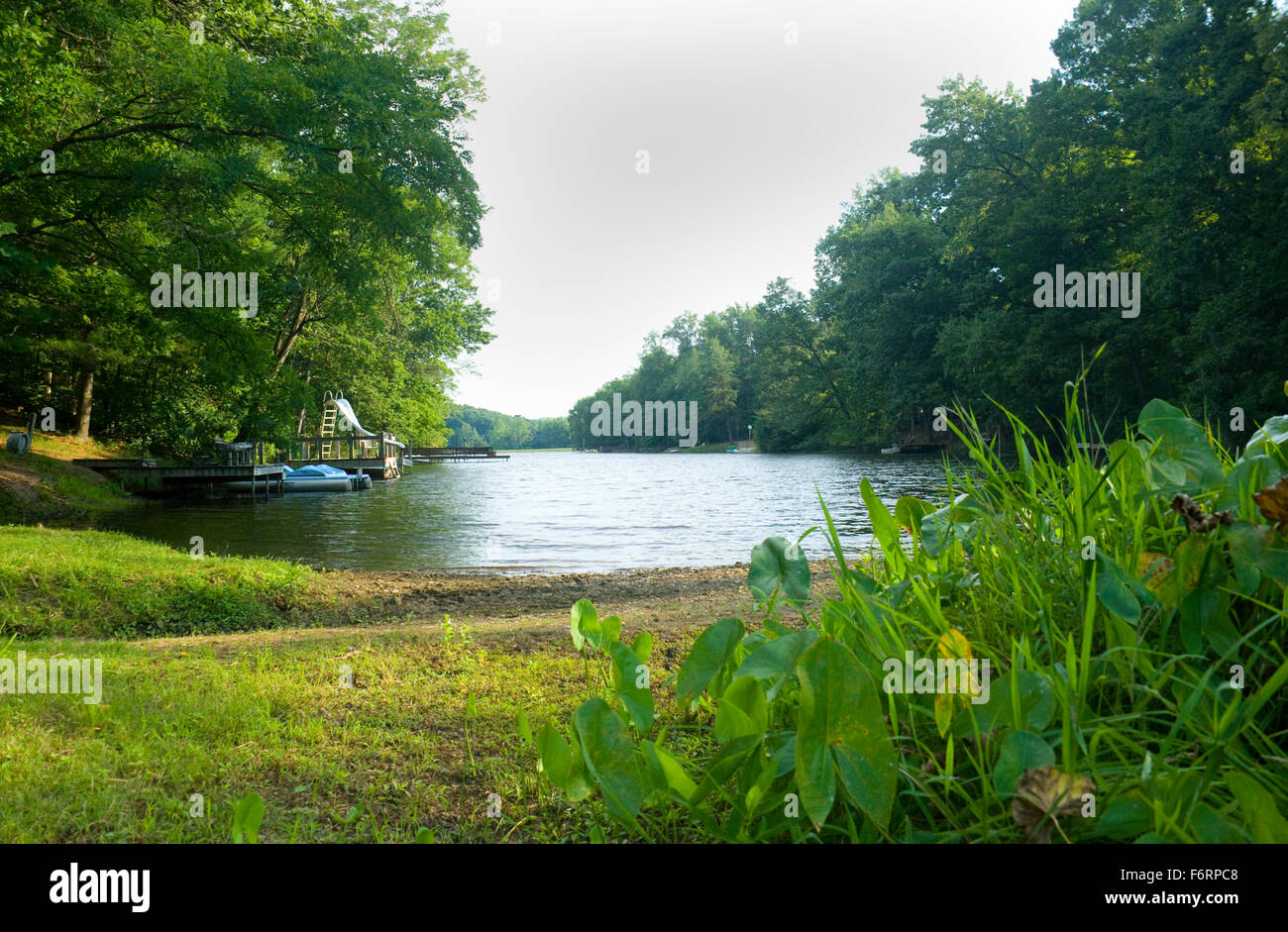 Woodland lake hi-res stock photography and images - Alamy