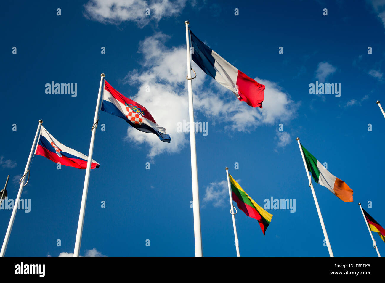 UK, England, Yorkshire, Hull, EU flags flying beside Marina Stock Photo ...