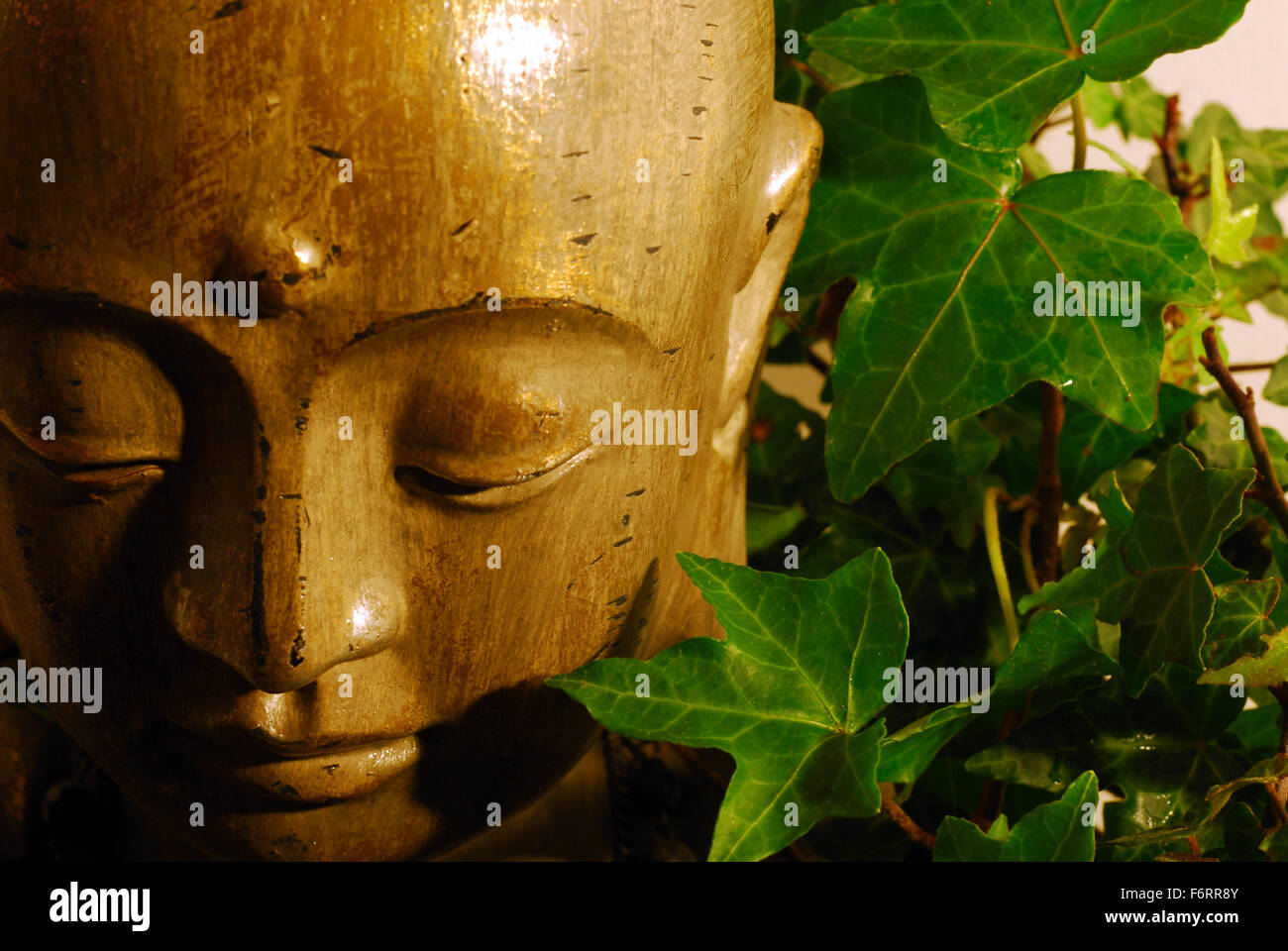 budda,buddist,budism,eastern religion,religion,religous icons,face ...