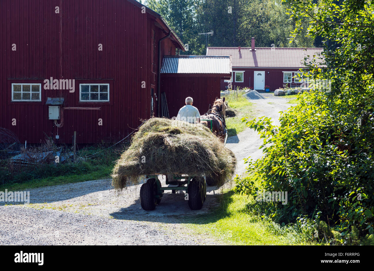 Horse Cart Farm Hay Stock Photos & Horse Cart Farm Hay Stock Images - Alamy