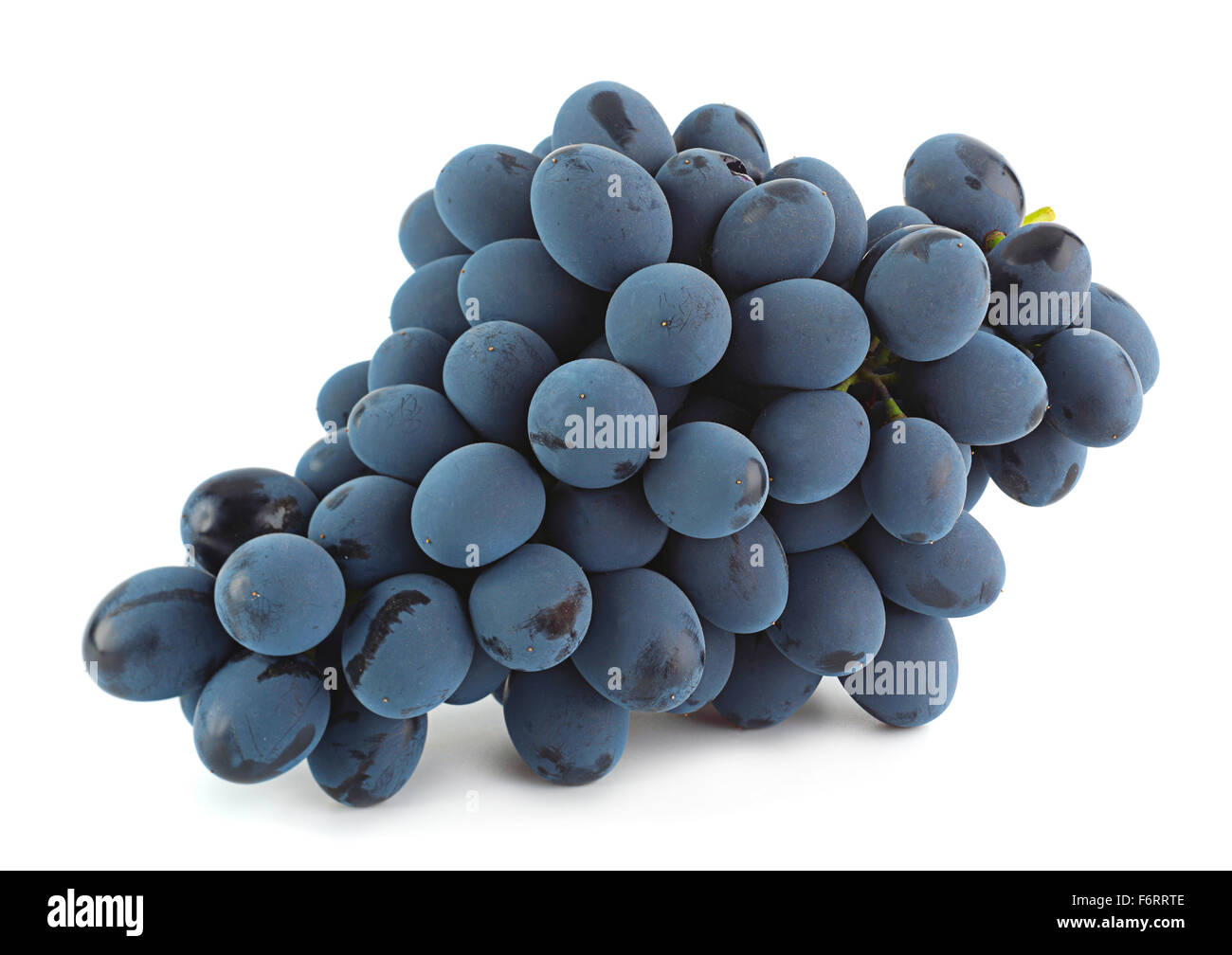 Blue grape fruit isolated on white background Stock Photo - Alamy