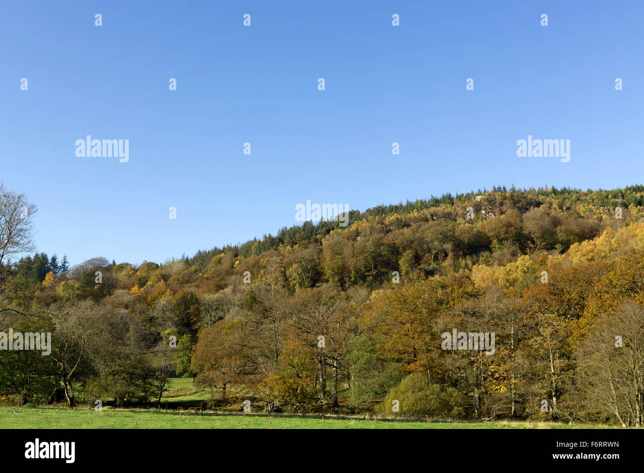 Covered in trees hi-res stock photography and images - Alamy