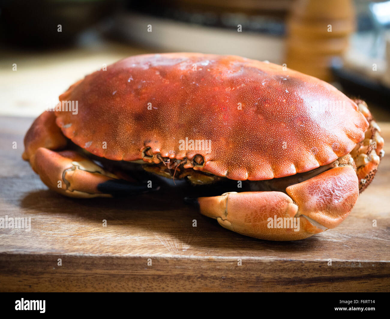 Whole crab hi-res stock photography and images - Alamy