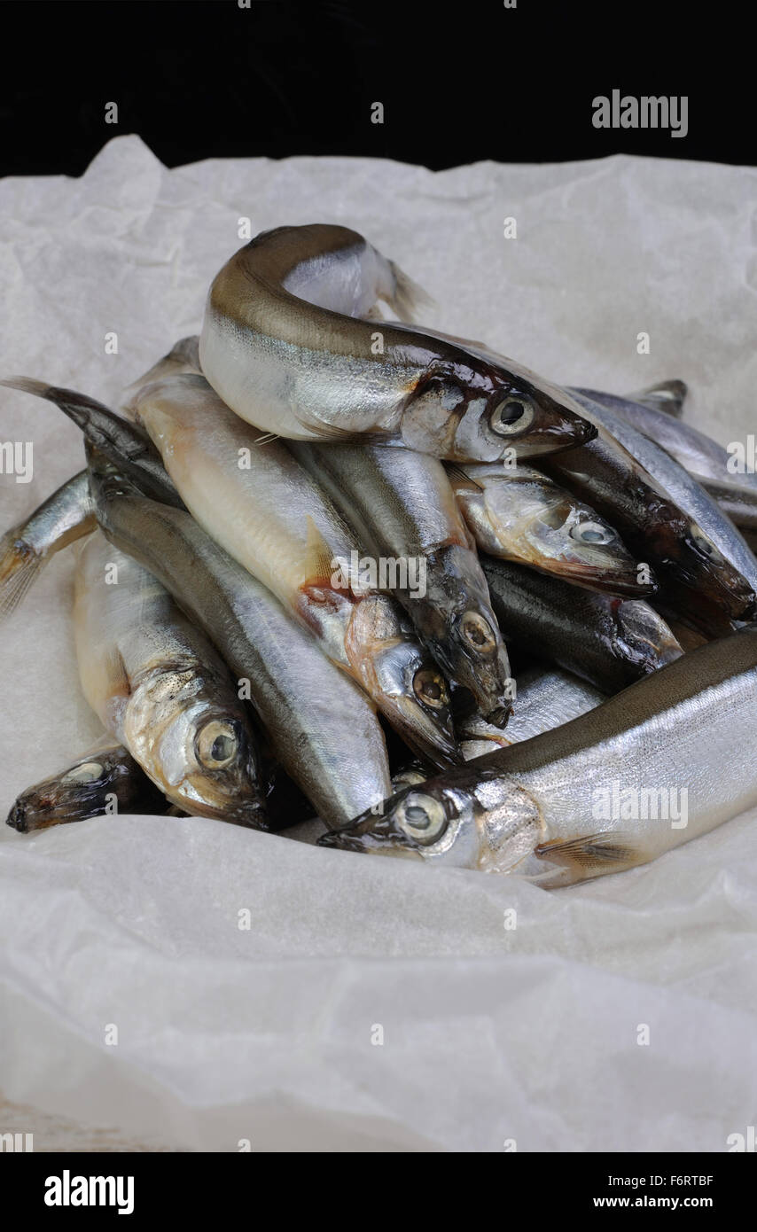 Capelin fish hi-res stock photography and images - Alamy