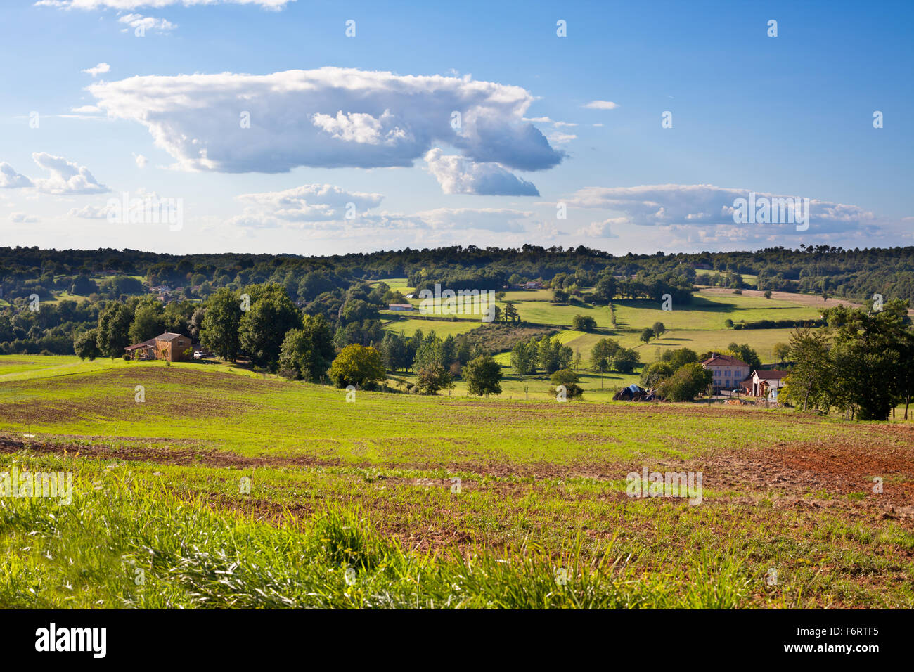 Summer Rural landscape with a Farm and a fileld in the Southern France ...