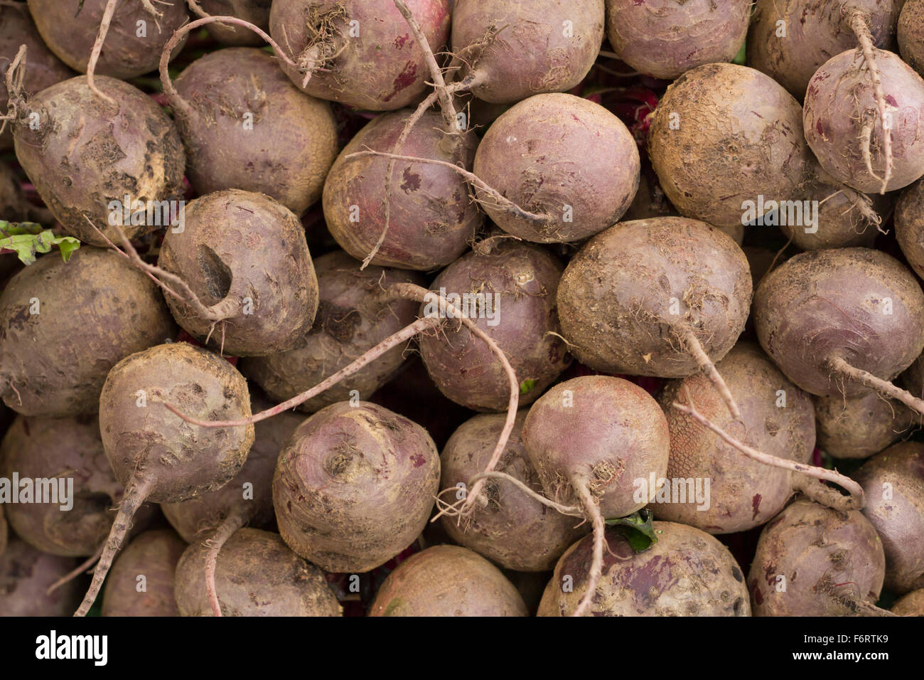Organic red beets on display at local farmers market Stock Photo - Alamy
