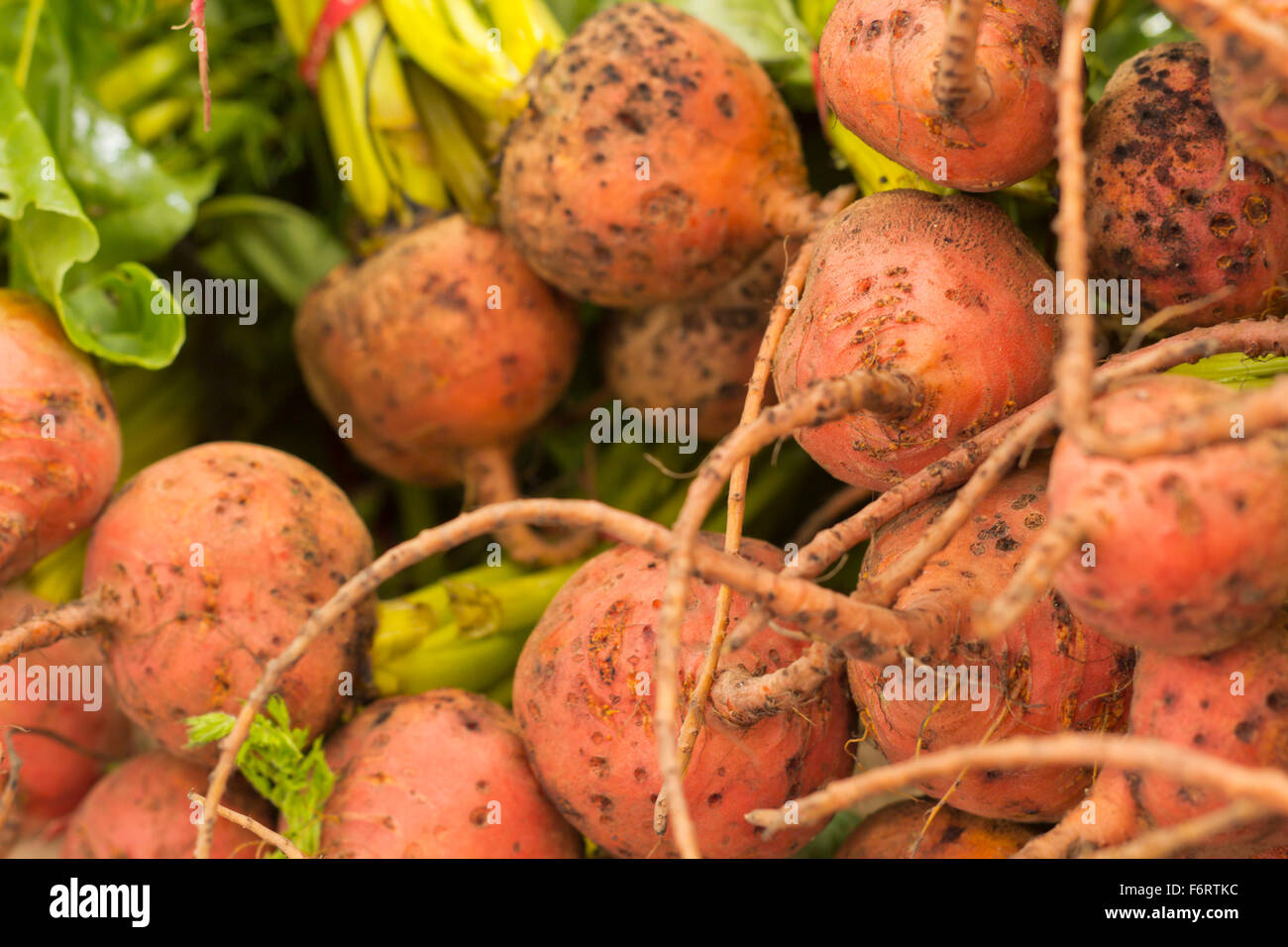 Organic red beets on display at local farmers market Stock Photo - Alamy