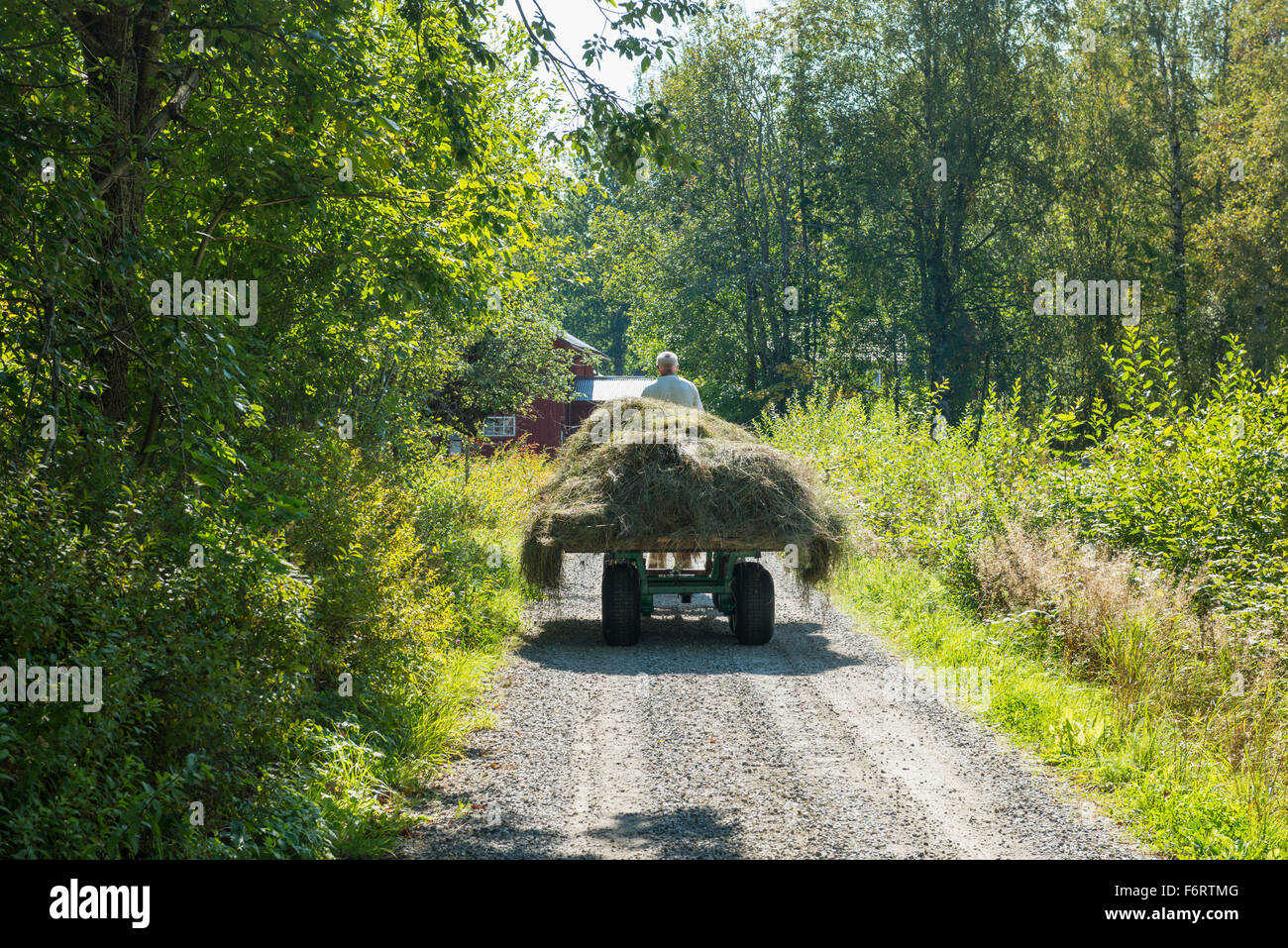 Wagon load of hay hi-res stock photography and images - Alamy
